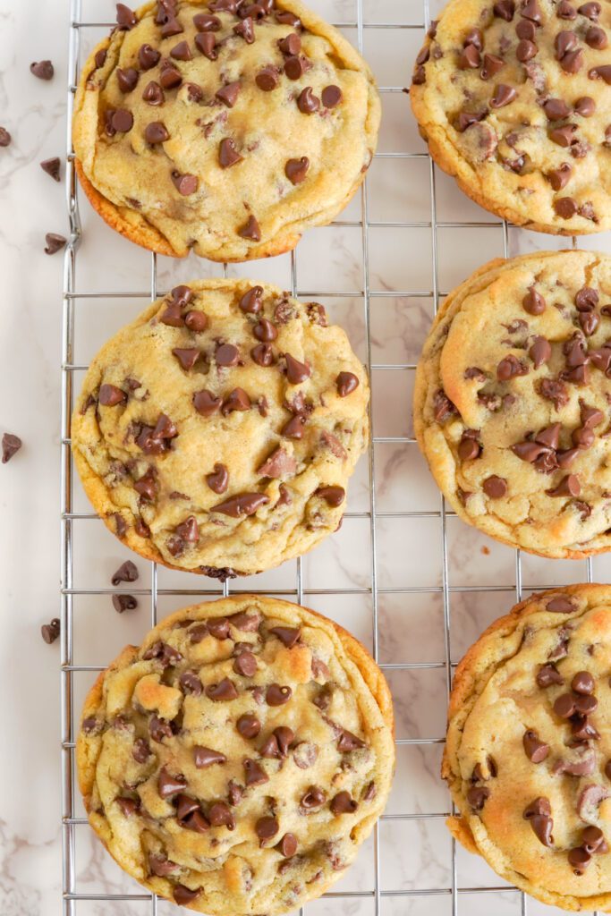 Thick and Chewy Chocolate Chip Cookies - LemonPeony
